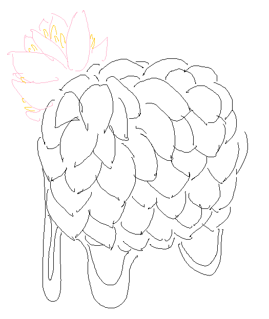 Bloom Shapeverse | Shapeverse Wiki | Fandom