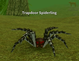Trapdoor Spiderling | Shard Online Wikia | Fandom