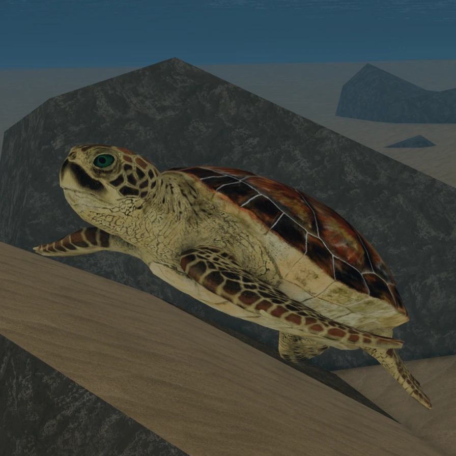 Turtle | Shard Seekers Wiki | Fandom