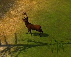 Deer - Official Legends of Aria Wiki