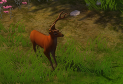 Great Hart - Official Legends of Aria Wiki
