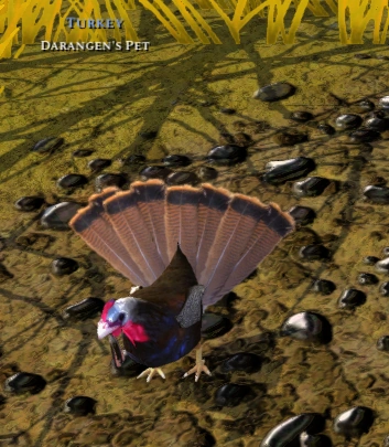 Turkey - Official Legends of Aria Wiki