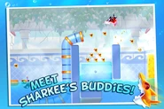 Shark Dash Wiki | Fandom