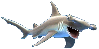 Hammerhead Shark | Hungry Shark Evolution Wiki | Fandom