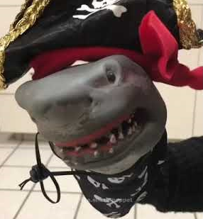 Pirate Shark | Shark Puppet Wiki | Fandom