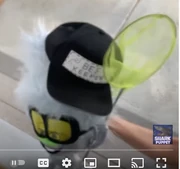 Tiny diamond | Shark Puppet Wiki | Fandom