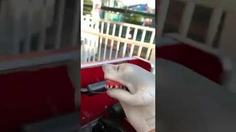 SHARK PUPPET ON ROLLERCOASTER! | Shark Puppet Wiki | Fandom