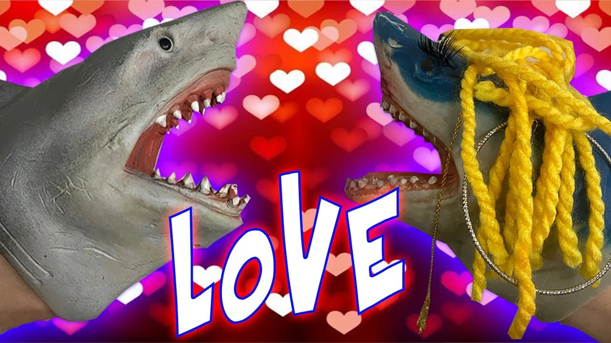 SHARK PUPPET FALLS IN LOVE ON VALENTINES DAY!!!!! | Shark Puppet Wiki ...