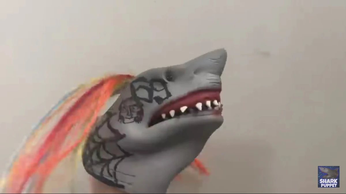 6ix 9ine6ix shark puppet | Shark Puppet Wiki | Fandom