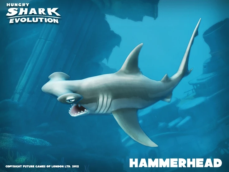 The Hammerhead Shark | Sharks of hungry shark evolution Wikia | Fandom