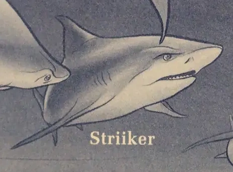 Striiker | Shark Wars Wiki | Fandom