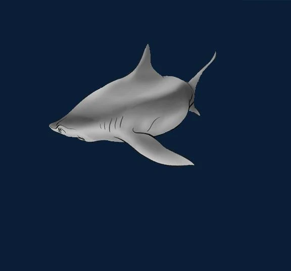 Shell | Shark Wars (book) Wiki | Fandom