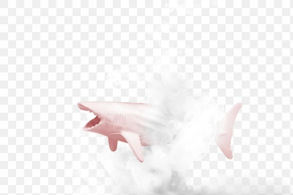 Dark-kata | Shark Wars (book) Wiki | Fandom