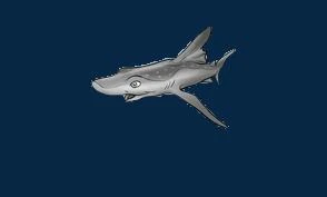 Category:Heroes | Shark Wars (book) Wiki | Fandom