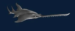 Snork | Shark Wars (book) Wiki | Fandom