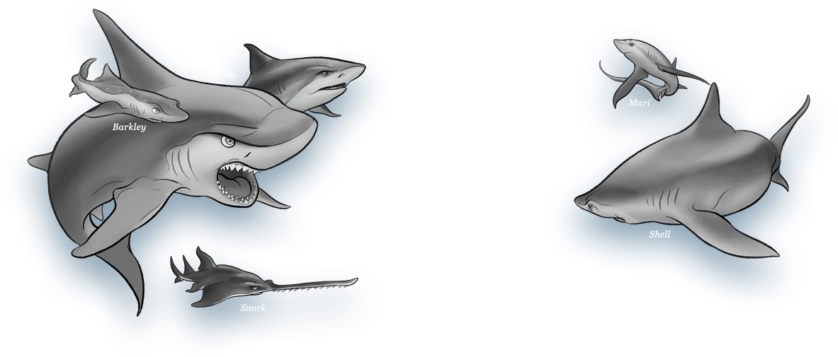 Rogue Shiver | Shark Wars (book) Wiki | Fandom