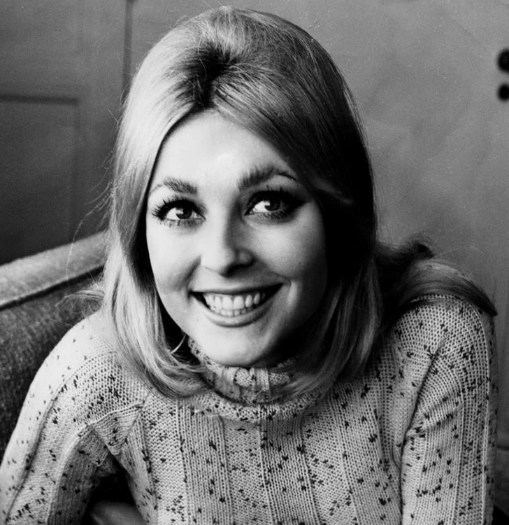 Harry Chase | SharonTate Wiki | Fandom