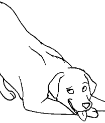 Ojo | Shattered Perceptions Wikia | Fandom