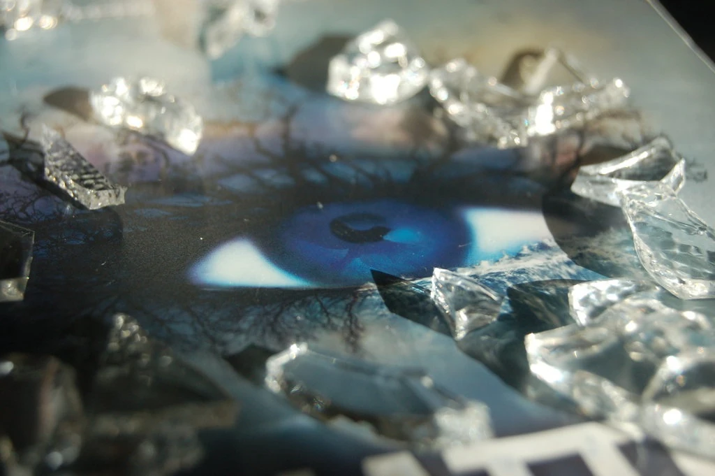 User blog:TheGreenMadHatter/Shatter Me Photography | Shatter Me Wiki ...