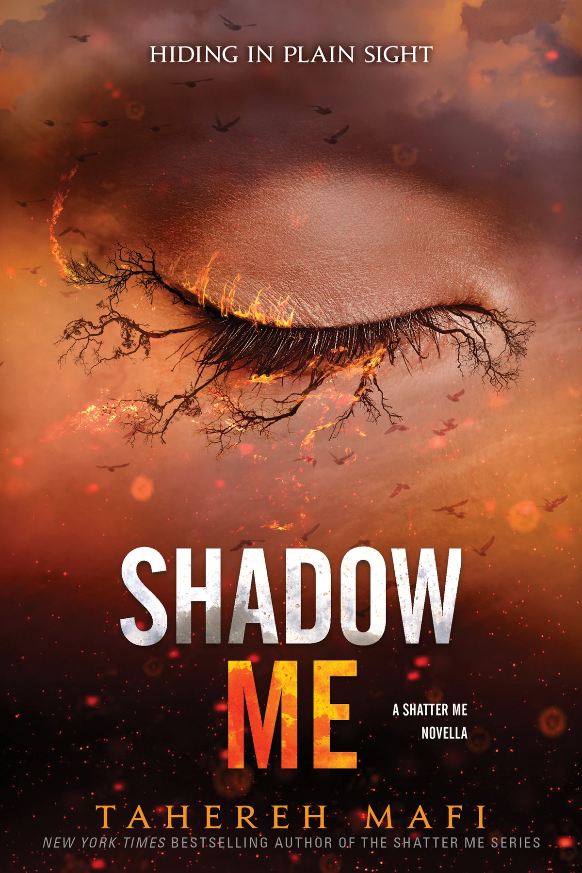 Shadow Me | Shatter Me Wiki | Fandom