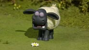 Timmy/Gallery | Shaun the Sheep Wiki | Fandom