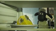 Shirleyverse | Shaun the Sheep Wiki | Fandom