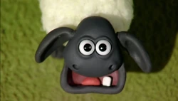 Shaun The Sheep Timmy Crying