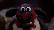 Timmy/Gallery | Shaun the Sheep Wiki | Fandom