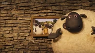 Shirleyverse | Shaun the Sheep Wiki | Fandom