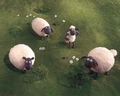 Hazel - Shaun the Sheep Wiki - Your Guide to Shaun the Sheep