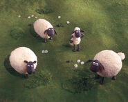 Hazel | Shaun the Sheep Wiki | Fandom