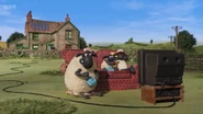 Shirleyverse | Shaun the Sheep Wiki | Fandom