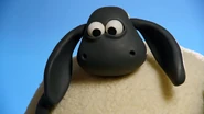 Supersize Timmy | Shaun the Sheep Wiki | Fandom
