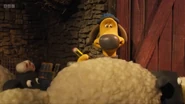 Shirleyverse | Shaun the Sheep Wiki | Fandom