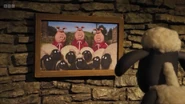 Shirleyverse | Shaun the Sheep Wiki | Fandom