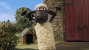 Shirleyverse | Shaun the Sheep Wiki | Fandom
