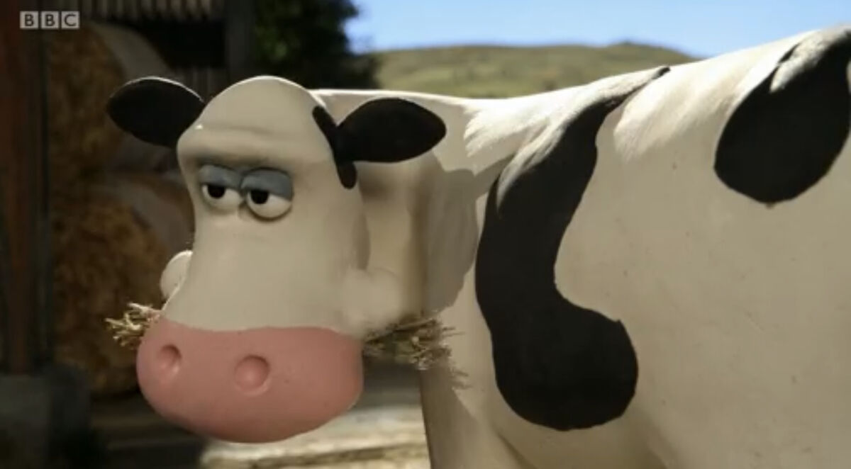 The Cow Shaun The Sheep Wiki Fandom