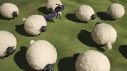 Shirleyverse | Shaun the Sheep Wiki | Fandom