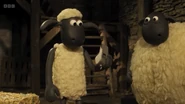 Shirleyverse | Shaun the Sheep Wiki | Fandom