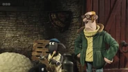 Shirleyverse | Shaun the Sheep Wiki | Fandom