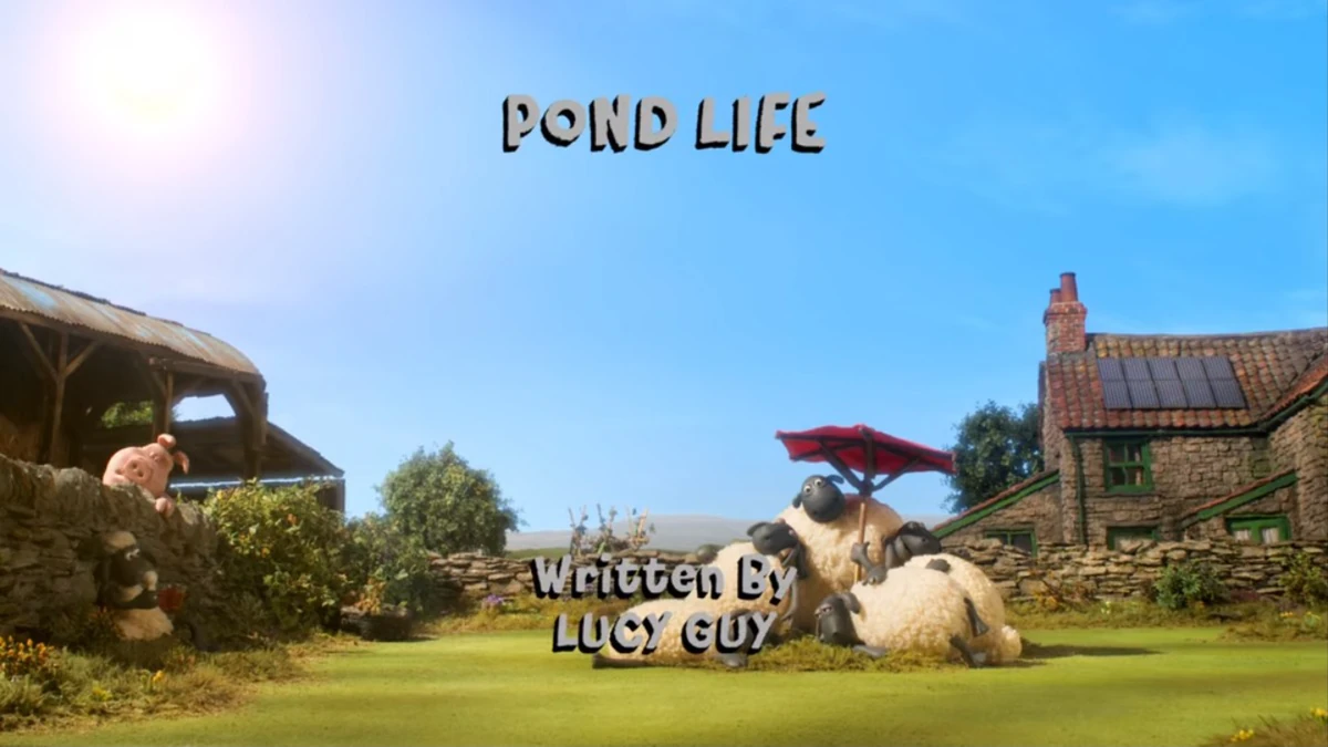 Pond Life | Shaun the Sheep Wiki | Fandom