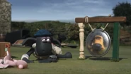 Shirleyverse | Shaun the Sheep Wiki | Fandom