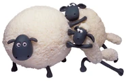 Hazel | Shaun the Sheep Wiki | Fandom