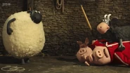 Shirleyverse | Shaun the Sheep Wiki | Fandom