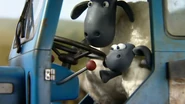 Timmy/Gallery | Shaun the Sheep Wiki | Fandom