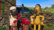 Shirleyverse | Shaun the Sheep Wiki | Fandom