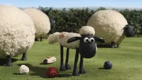 Shirleyverse | Shaun the Sheep Wiki | Fandom