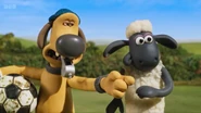Shirleyverse | Shaun the Sheep Wiki | Fandom