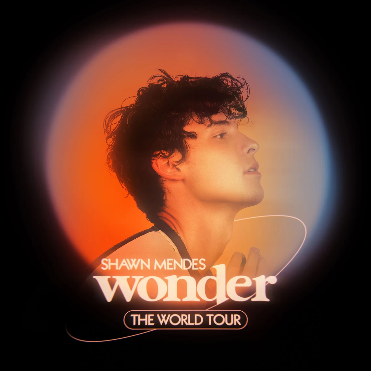 Wonder: The World Tour | Shawn Mendes Wiki | Fandom