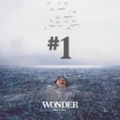 Wonder | Shawn Mendes Wiki | Fandom